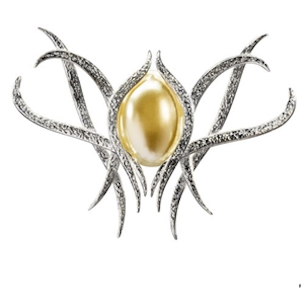 The Noble Collection Image Bank